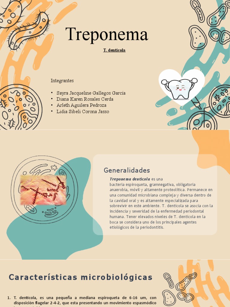 Treponema Denticola | PDF
