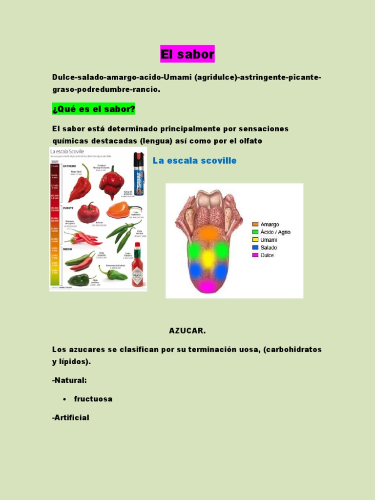 Tipos de sabores y astringencia | PDF