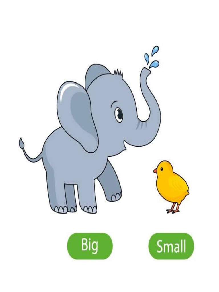 Small And Big Objects Pdf