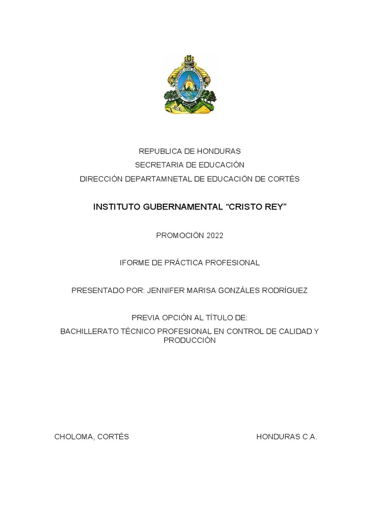 Informe De Práctica Pdf