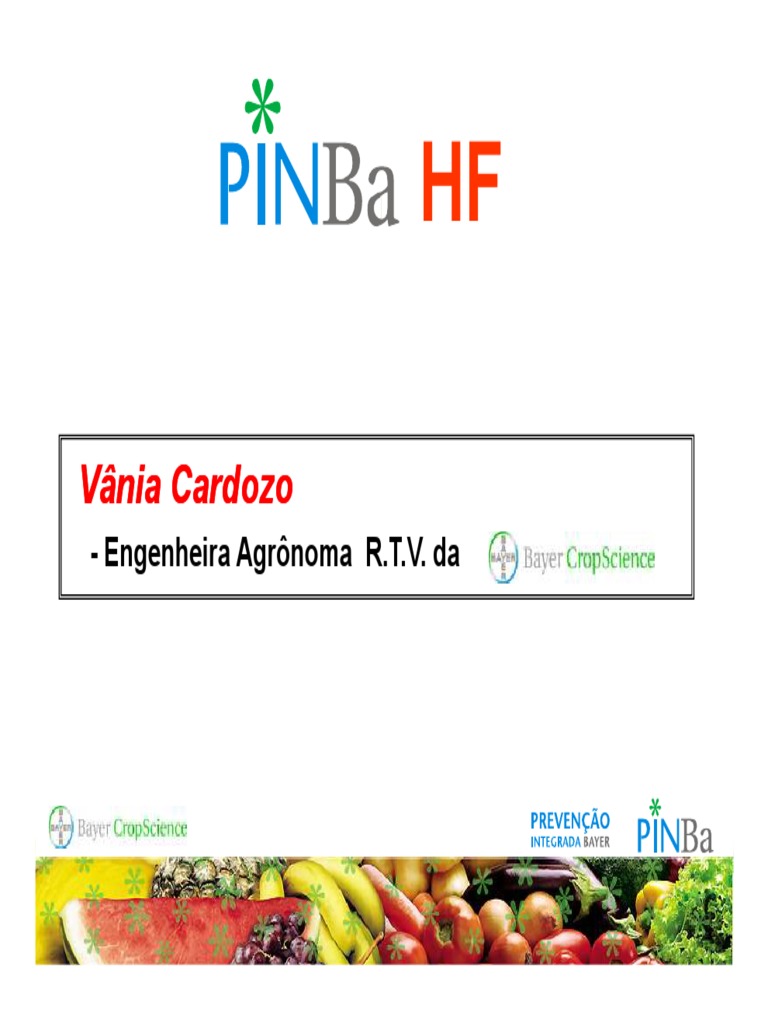 PINBa Hidroponia | PDF