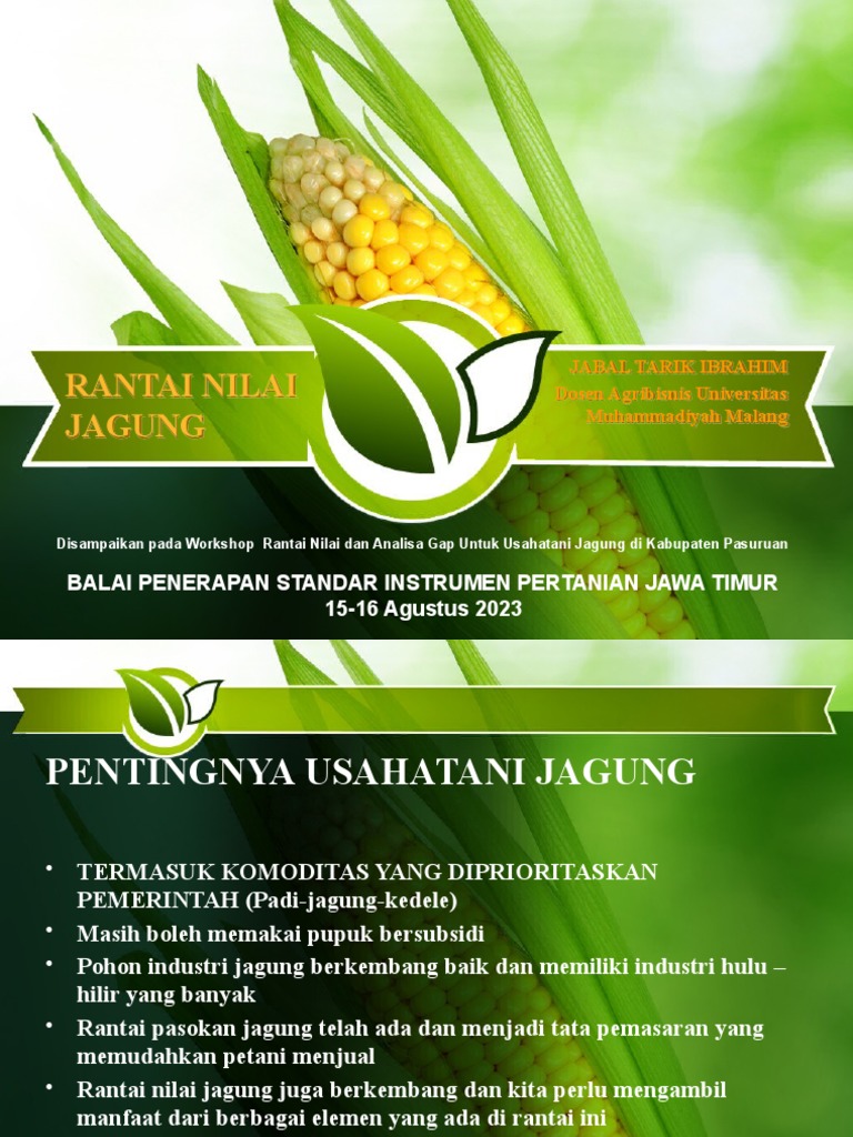 Rantai Nilai Dan Analisa Gap Usahatani Jagung | PDF
