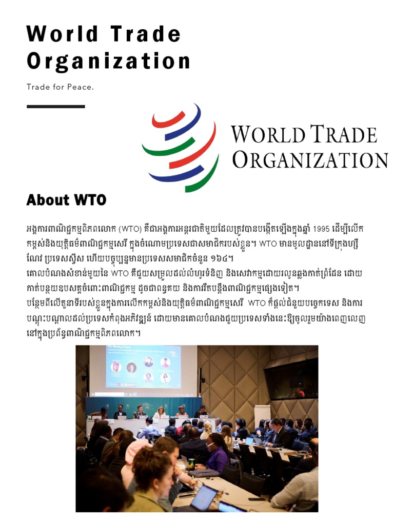 World Trade Organization | PDF
