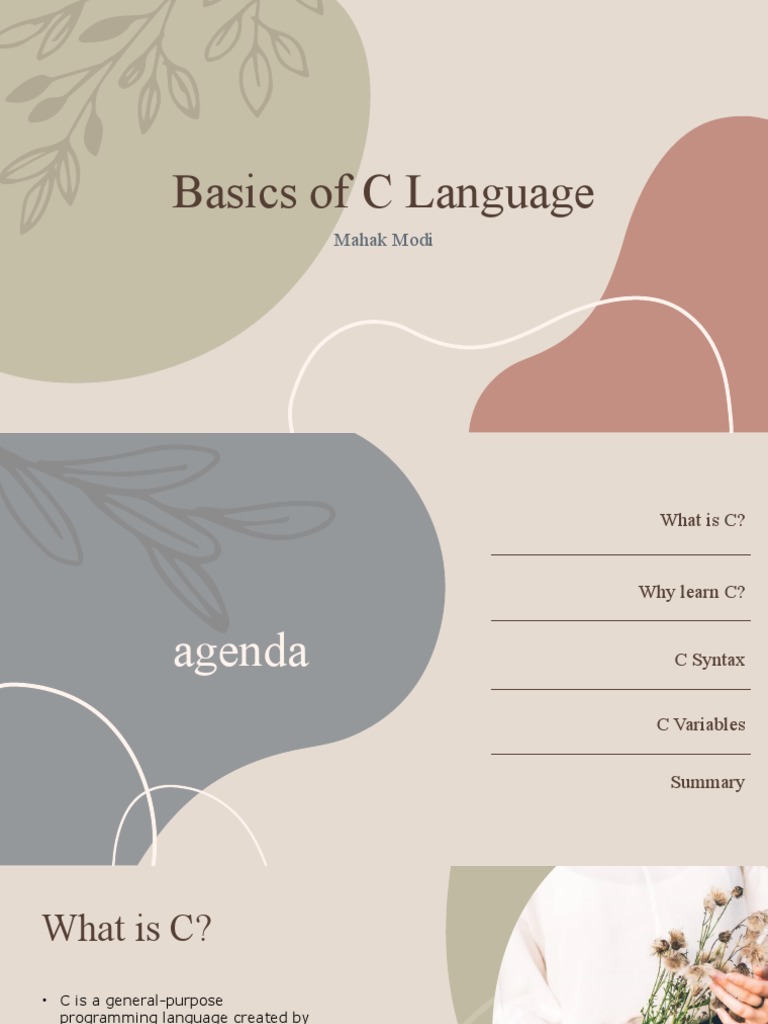 Basics of C Language | PDF | Integer (Computer Science) | C (Programming Language)