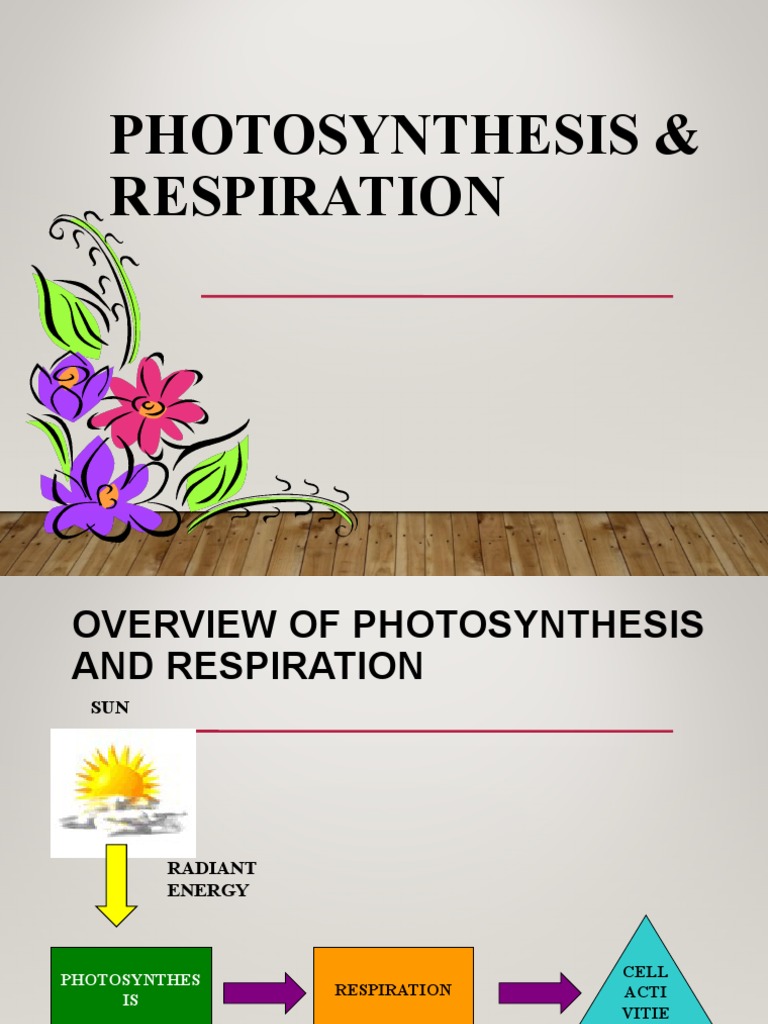 G9 Science Q1- Week 6-7 Photosynthesis | PDF