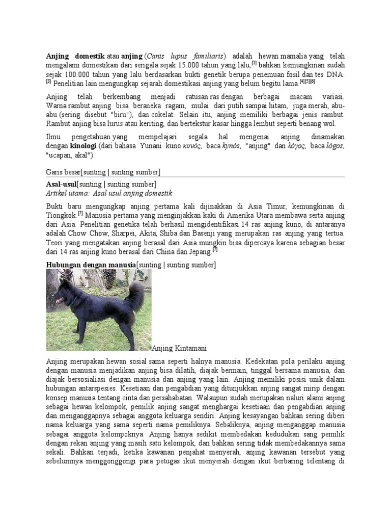 Anjing Domestik | PDF
