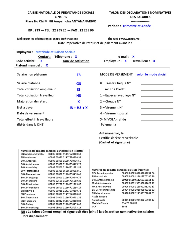 Mode de Remplissage de La Déclaration Nominative Des Salaires (DNS ...