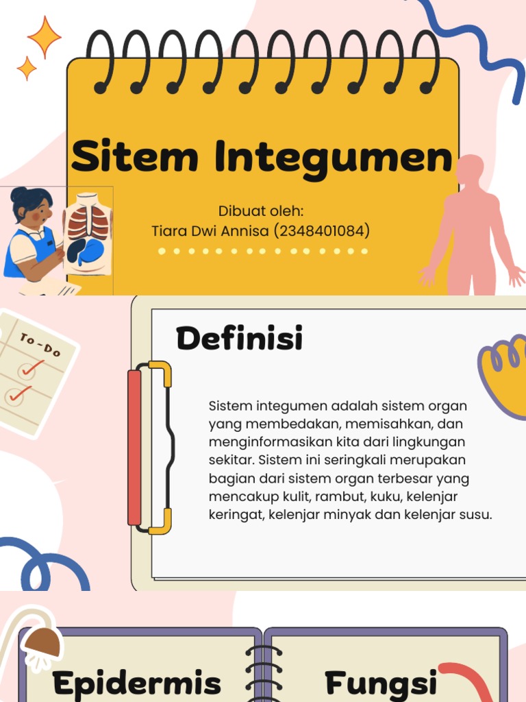 Sistem Integumen | PDF