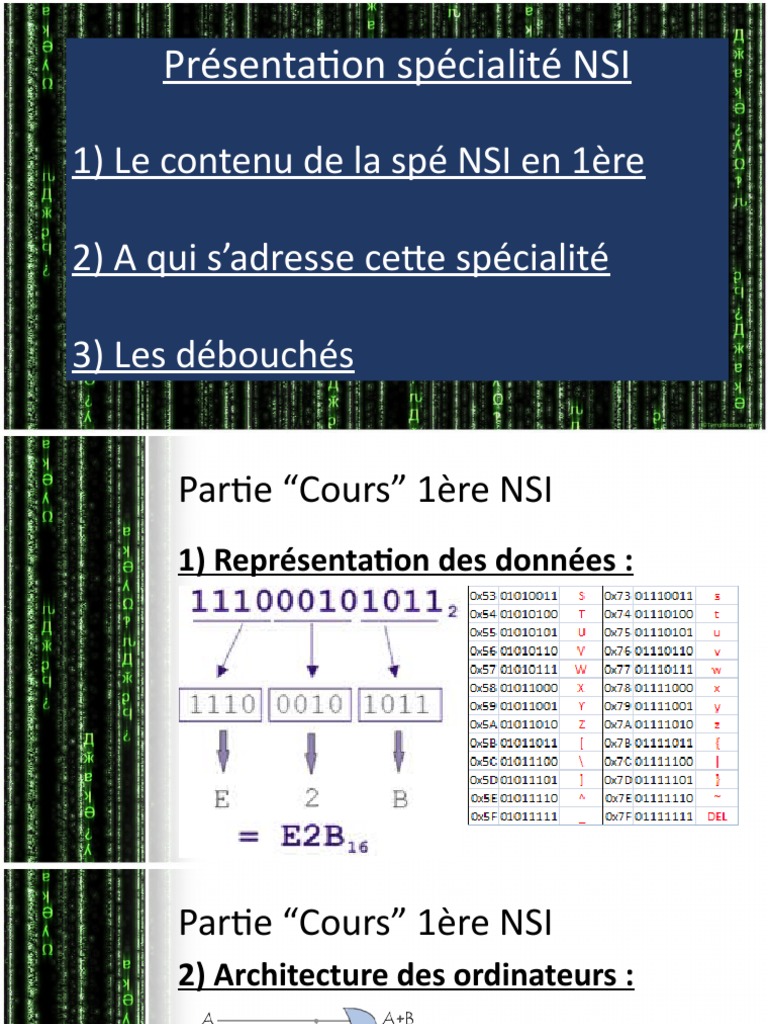 Presentation Nsi 1 | PDF