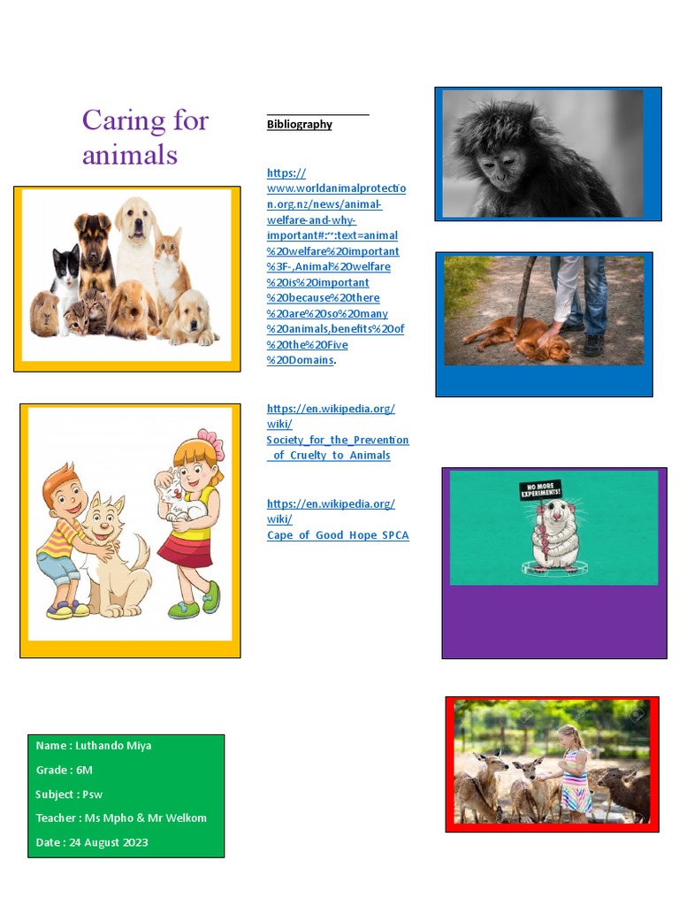Caring For Animals: Bibliography | PDF | Animal Welfare | Cruelty To ...