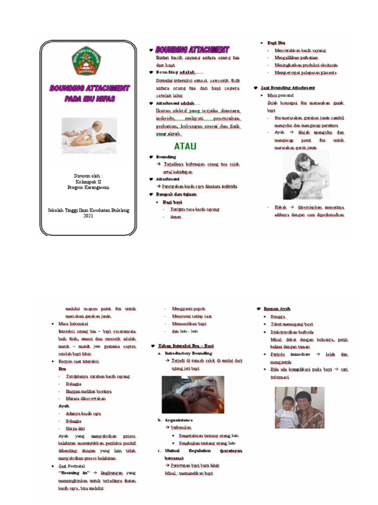 Leaflet Bounding Attachment | PDF