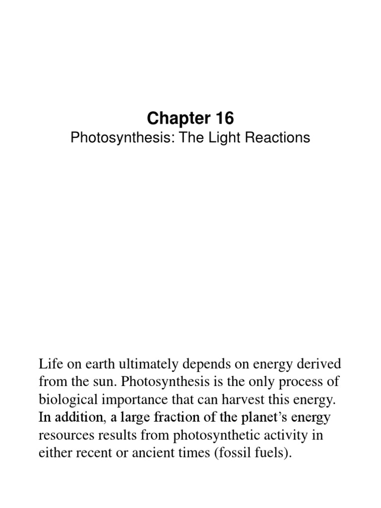 Photosynthesis - The Light Reactions | PDF | Photosynthesis | Chloroplast
