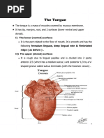 Tongue Anatomy | PDF | Tongue | Human Anatomy