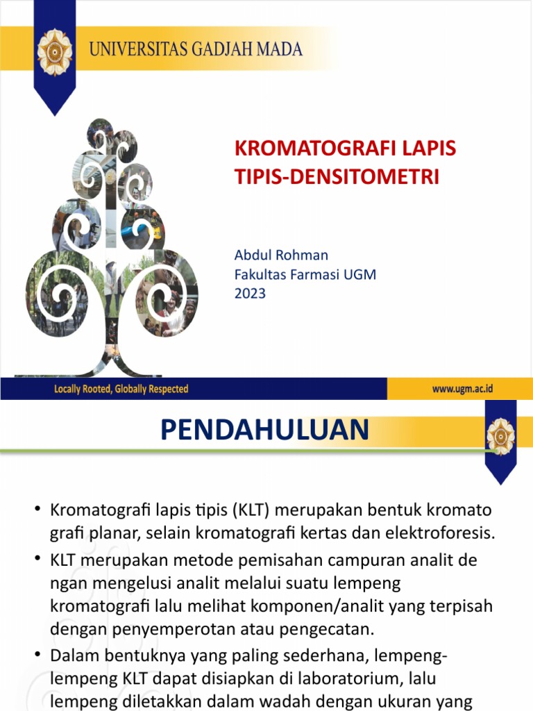 KLT Densitometri | PDF