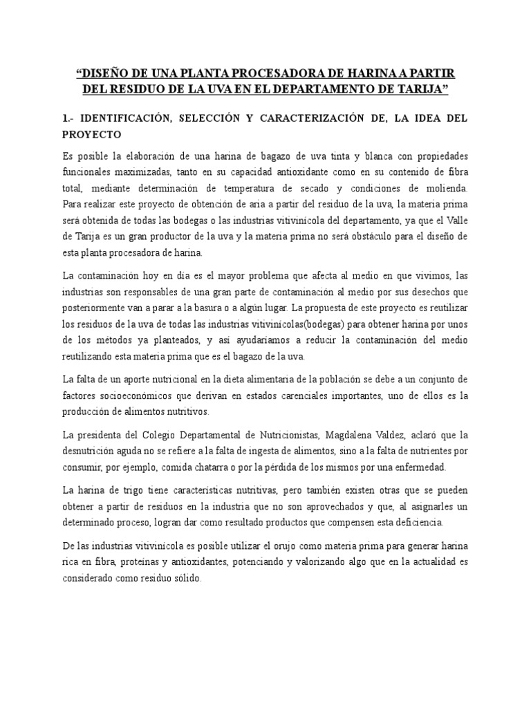 Proyecto Borrador 1-1 | PDF