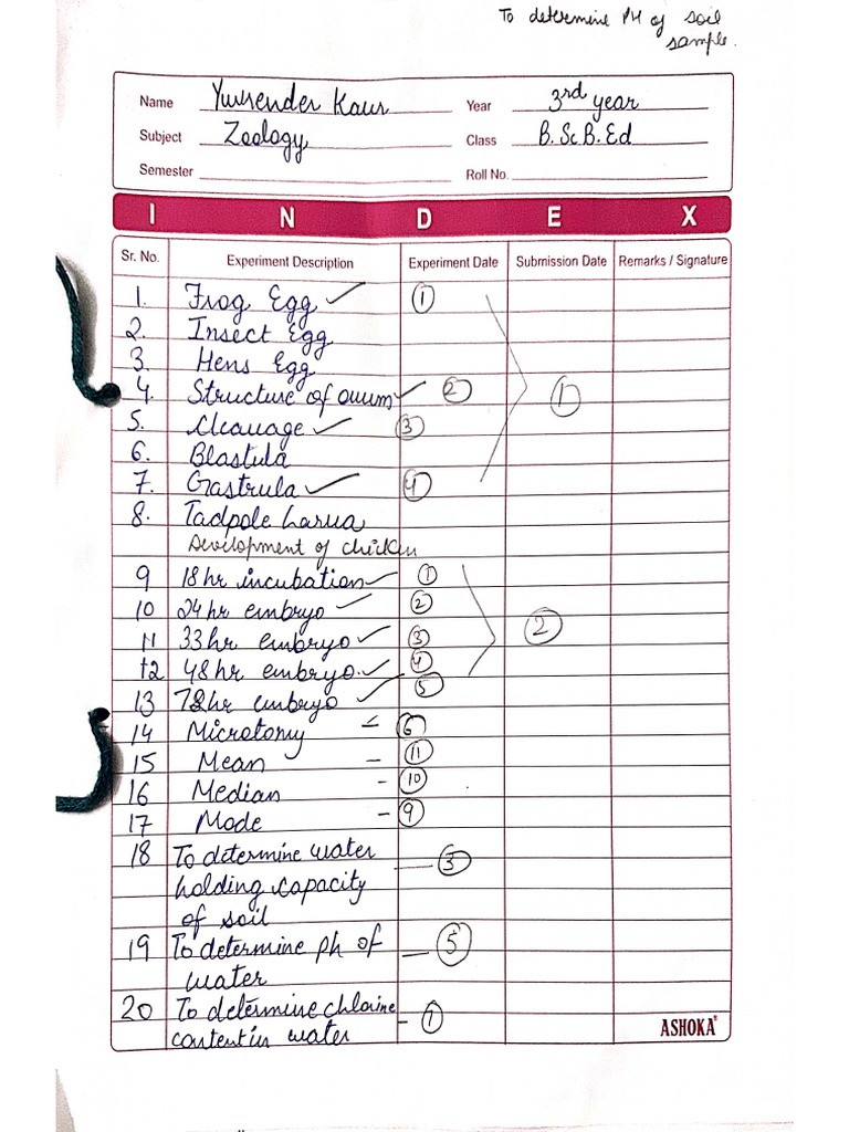 Zoology Practical File | PDF