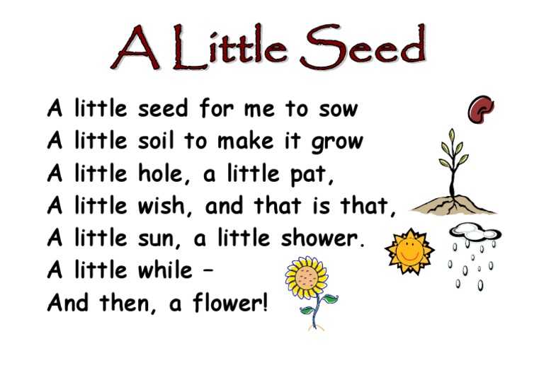 A Little Seed Poem | PDF