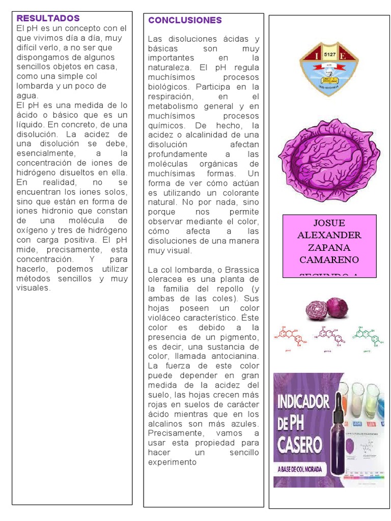 Triptico Morado | PDF | Ph | Ácido