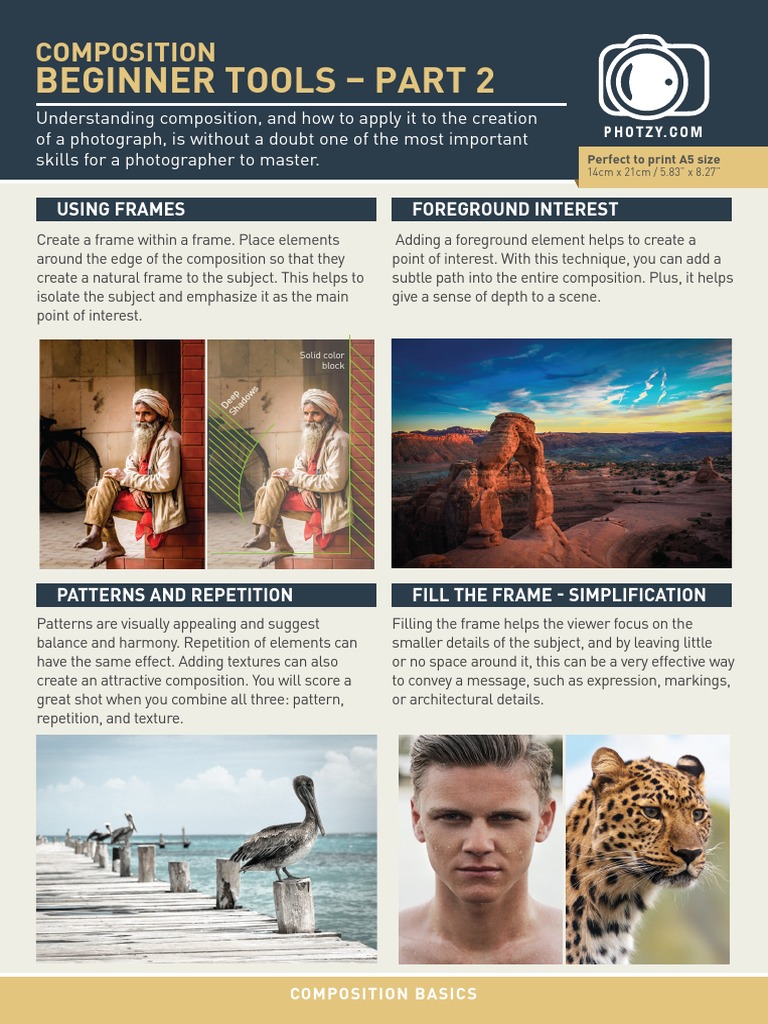 Mastering Composition Techniques in Photography | PDF