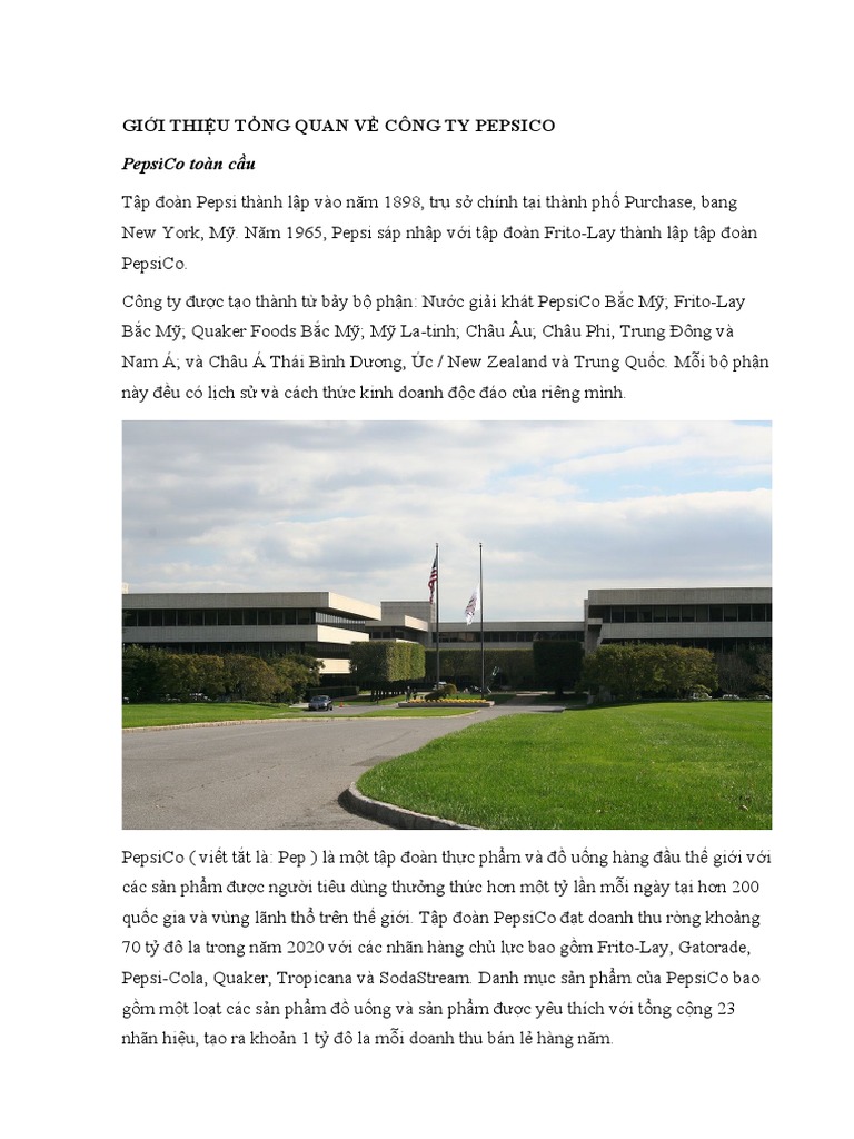 Pepsi Co | PDF