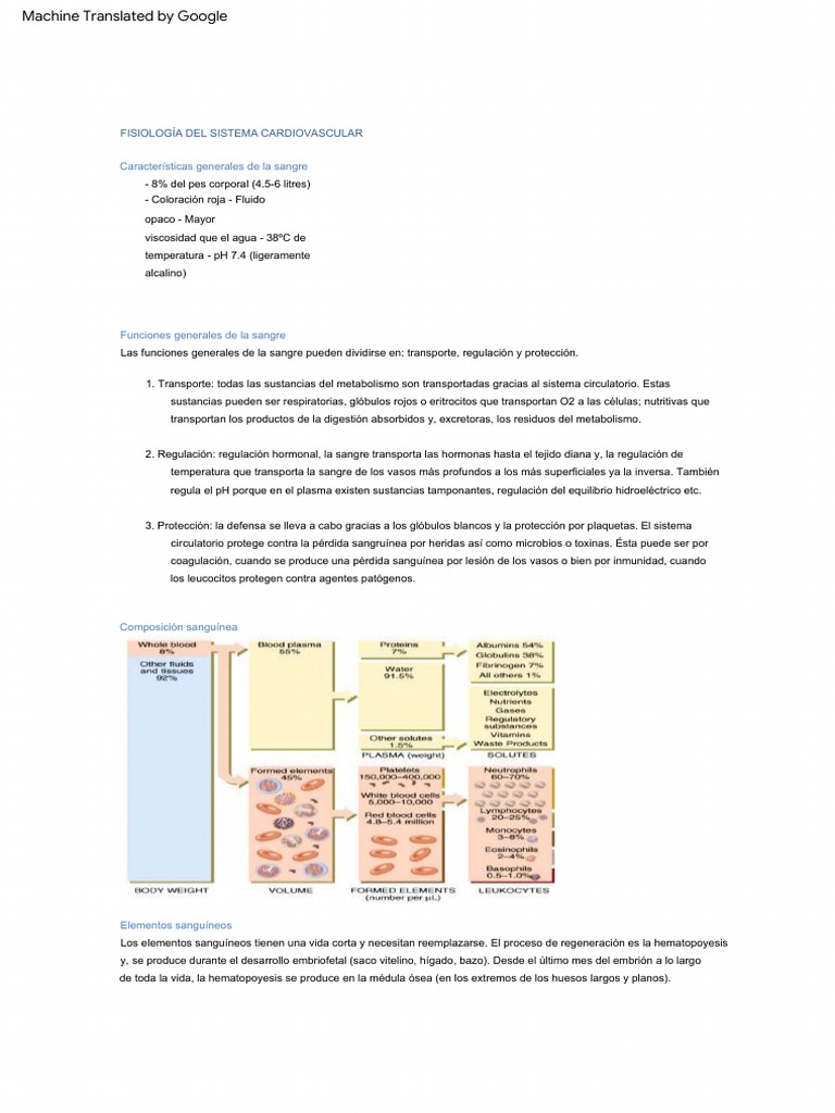 Fisiologia Segon Quadrimestre 2 URV | PDF