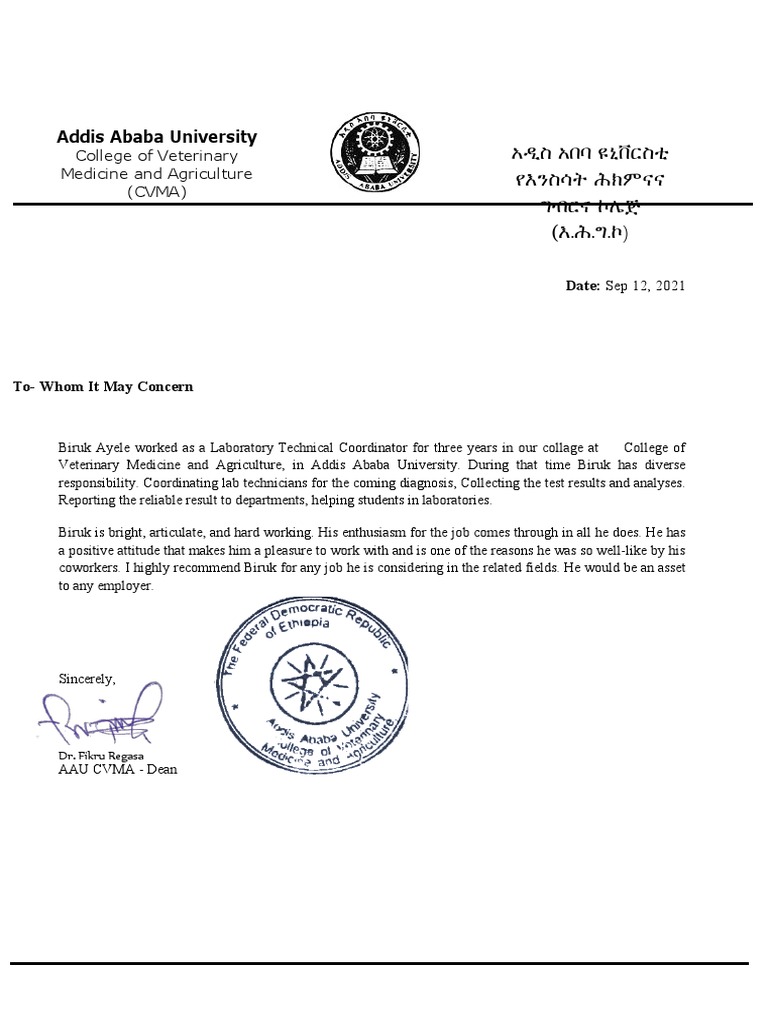 Recommendation for Biruk Ayele at AAU | PDF