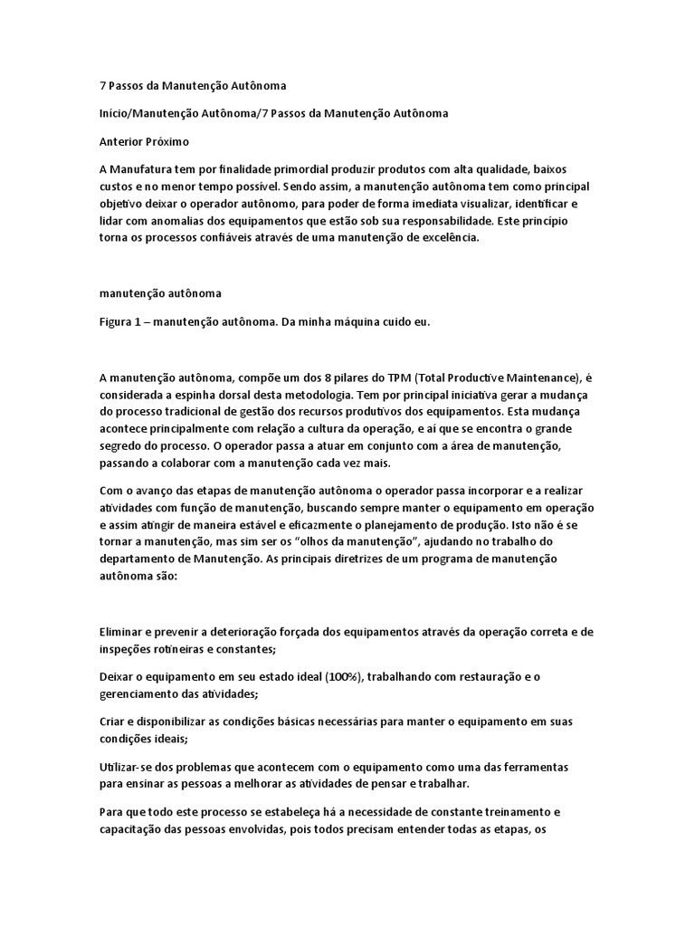 7 Passos Da Manuten o Aut noma PDF Qualidade neg cios