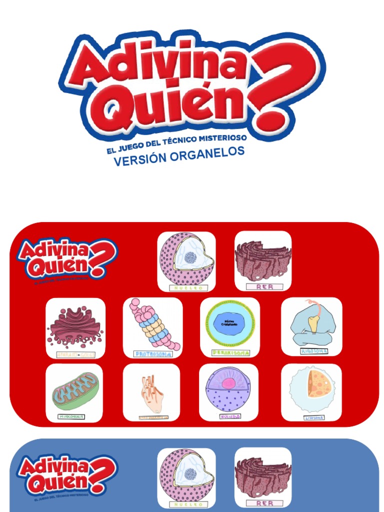 Adivina Quien | PDF