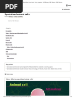 Specialised Animal Cells - Living Organisms - KS3 Biology - BBC ...