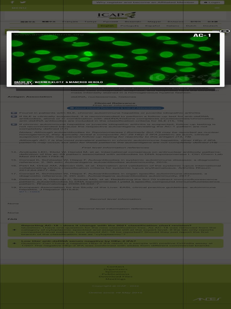 Ana Patterns Pdf Autoimmunity Immunology