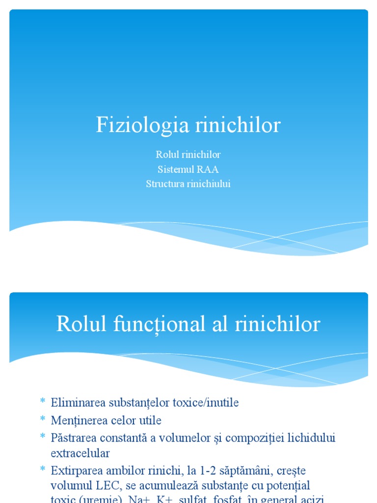 Fiziologia Rinichilor | PDF