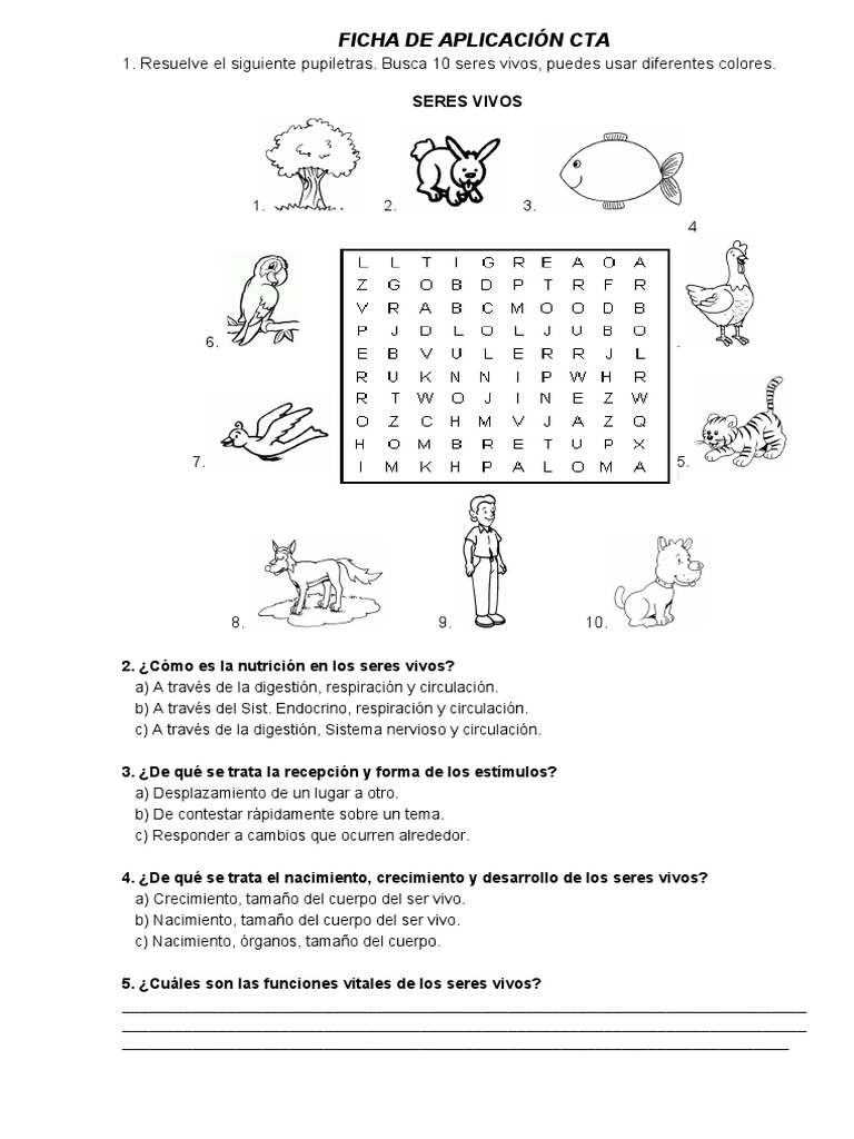 Ficha de Aplicación Cta 18-4-23 | PDF