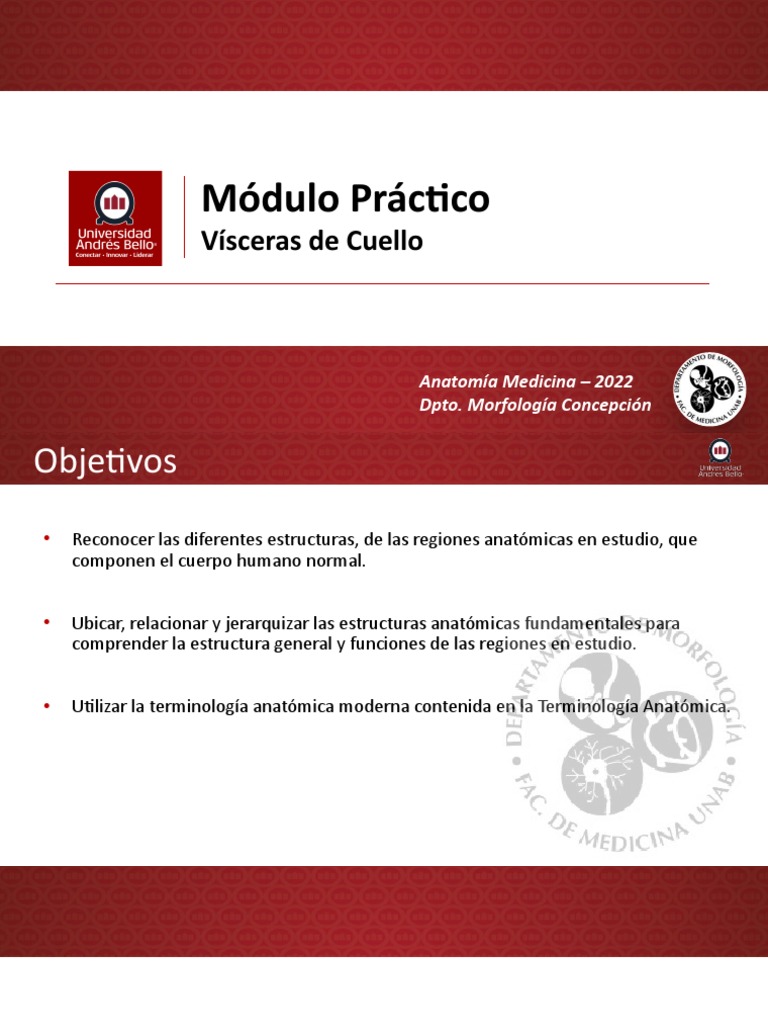 Anatomía de Vísceras del Cuello | PDF | Laringe | Sistema ...