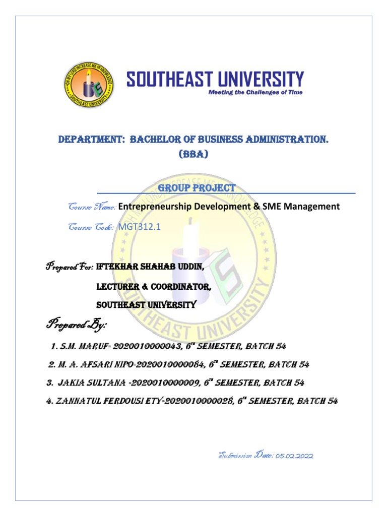 Entrepreneurship Final Project | PDF