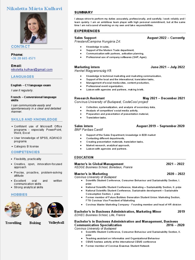 Marketing and Sales Professional CV | PDF