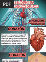 Signo de Roesler | PDF | Ciencia y matemáticas