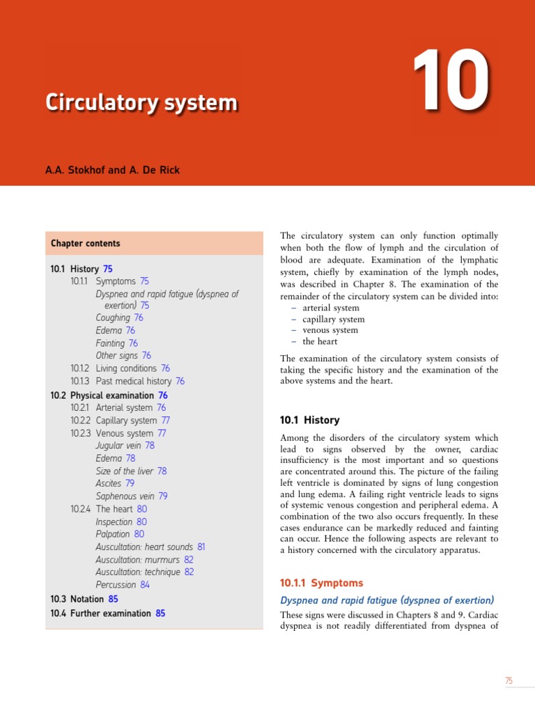 Circulatory System Examination Guide | PDF
