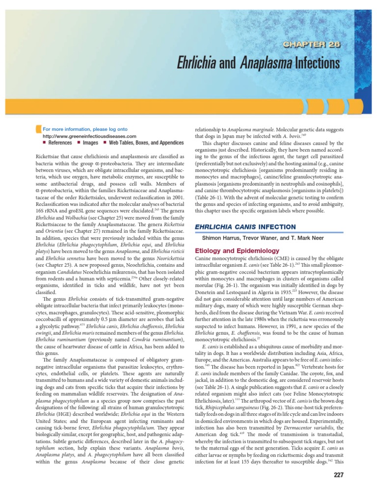 Ehrlichia Anaplasma Greene 2012 | PDF | Infection | Platelet