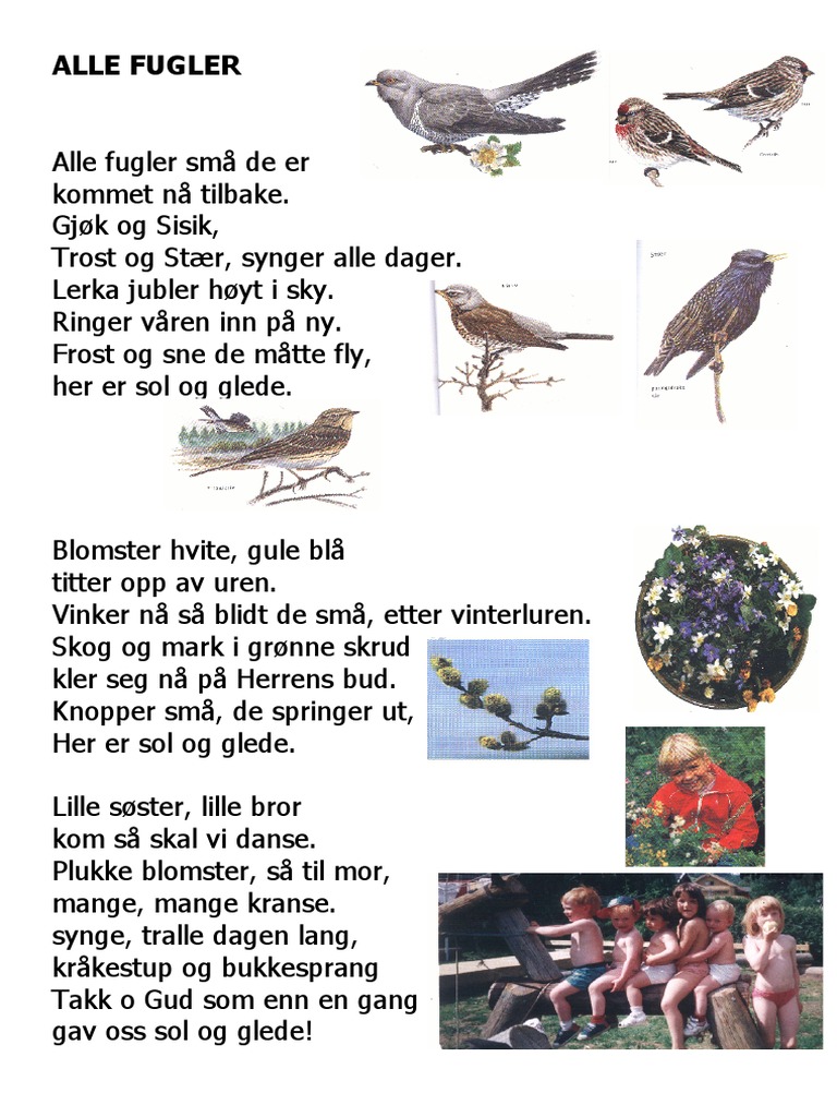 Alle Fugler Små de Er | PDF