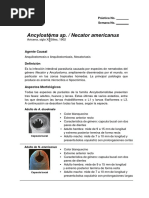 Características de Entamoeba hartmanni | PDF