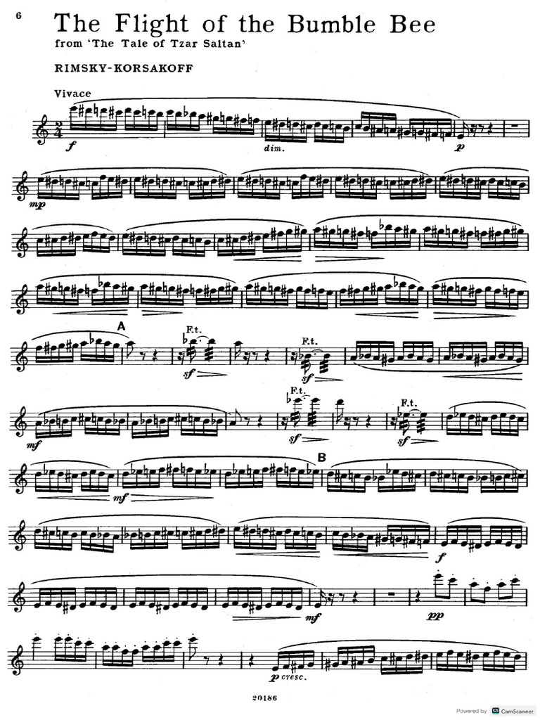 Flight of The Bumble Bee - Flute - 1 | PDF