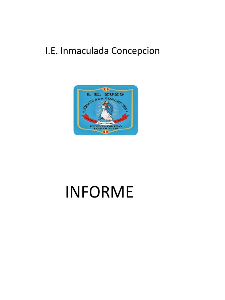 Informe: I.E. Inmaculada Concepcion | PDF
