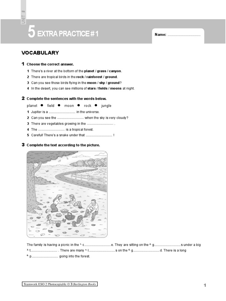 05teamwork2 ExtraPractice Unit5 | PDF