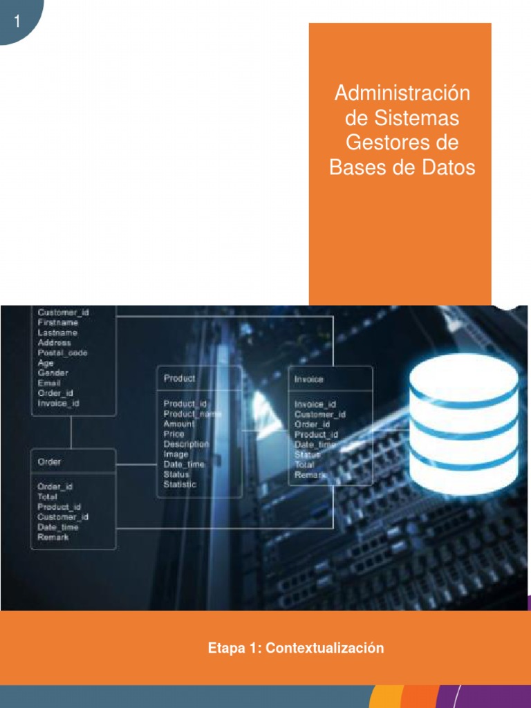 contextualizacion | PDF | Mi sql | Bases de datos