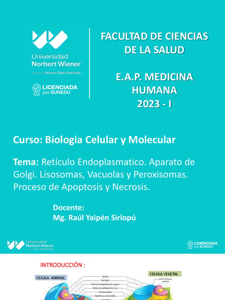 SEMANA 9 - Retículo Endoplasmatico. Aparato de Golgi. Lisosomas, Vacuolas y Peroxisomas. Proceso ...