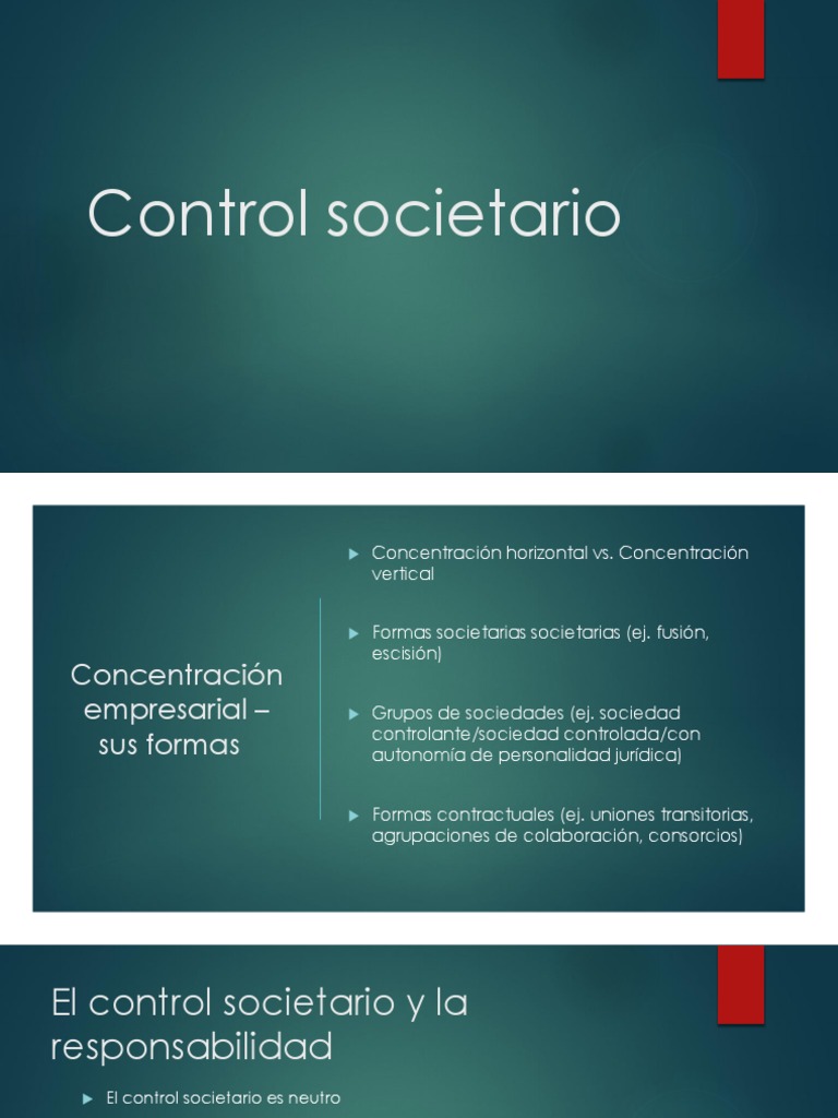 Control Societario | PDF