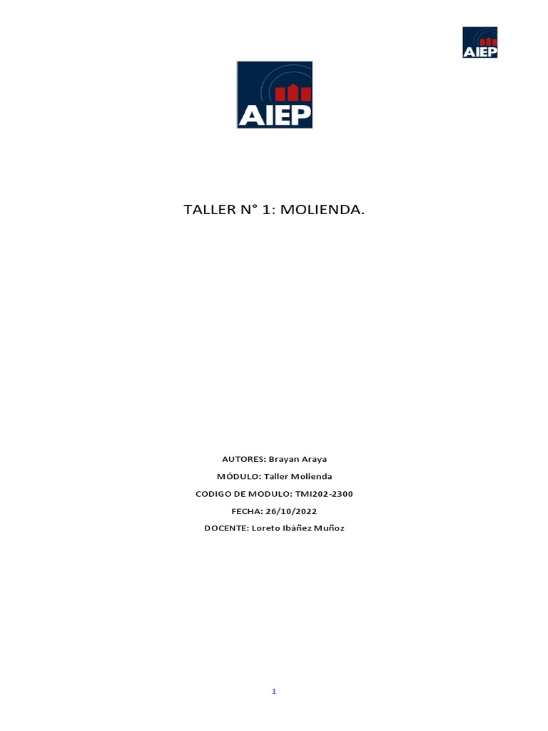 Formato Informe Taller | PDF | Molino (molienda) | Cobre