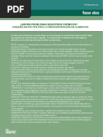 Programa B15 - (Imprimible) 2024-1 | PDF | Alimentos