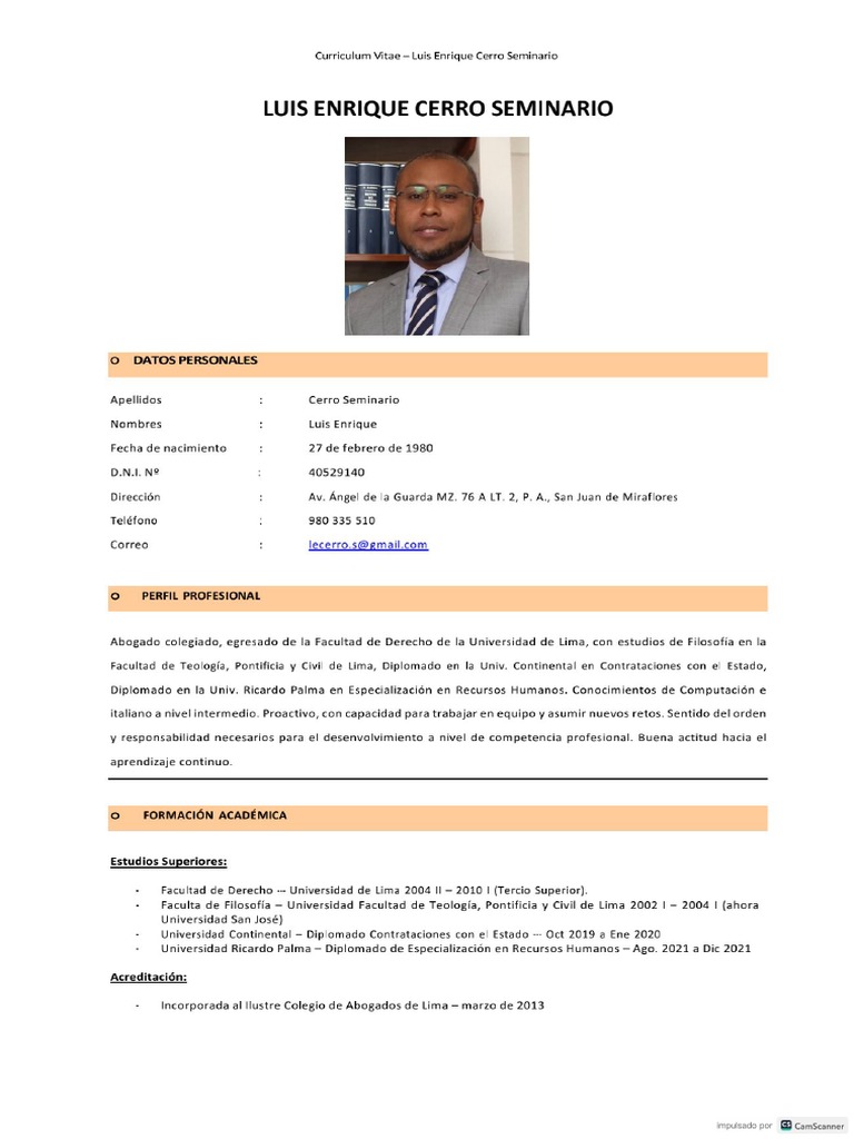 CV Luis Cerro Actualizado F | PDF