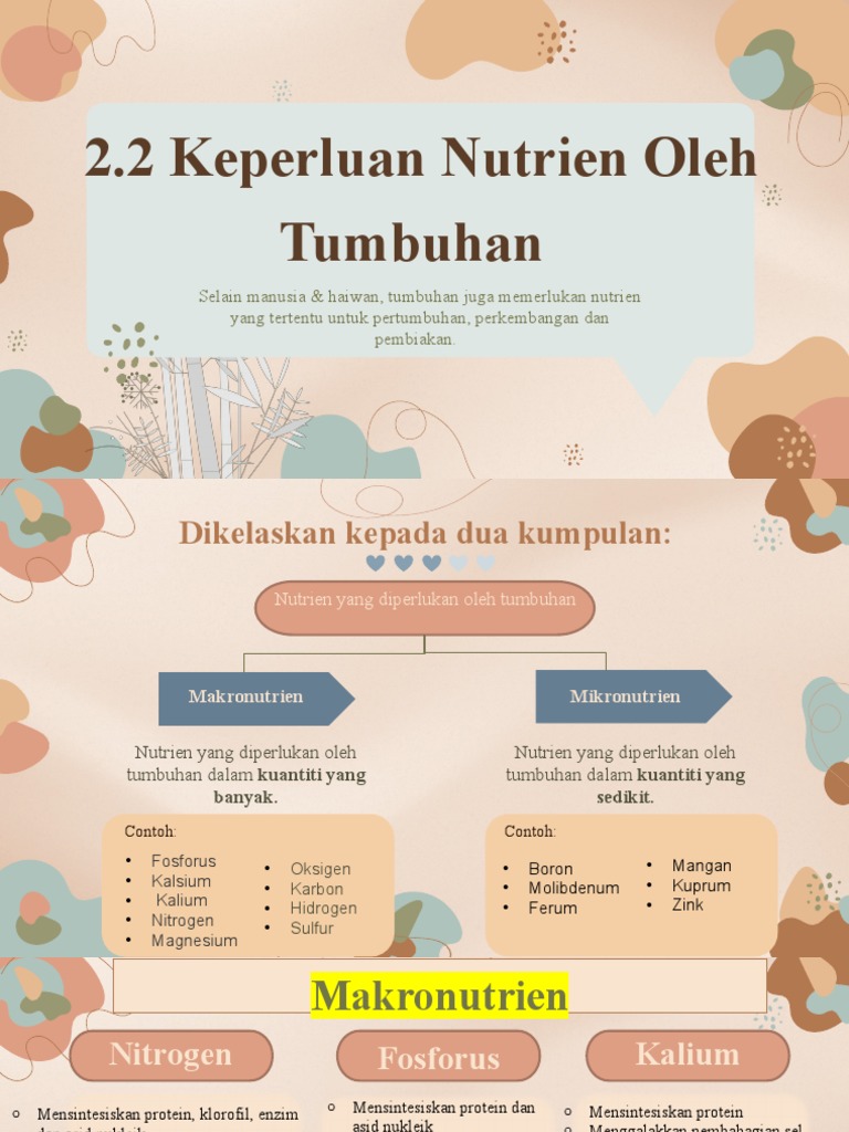 Keperluan Nutrien Untuk Tumbuhan Yg Real | PDF